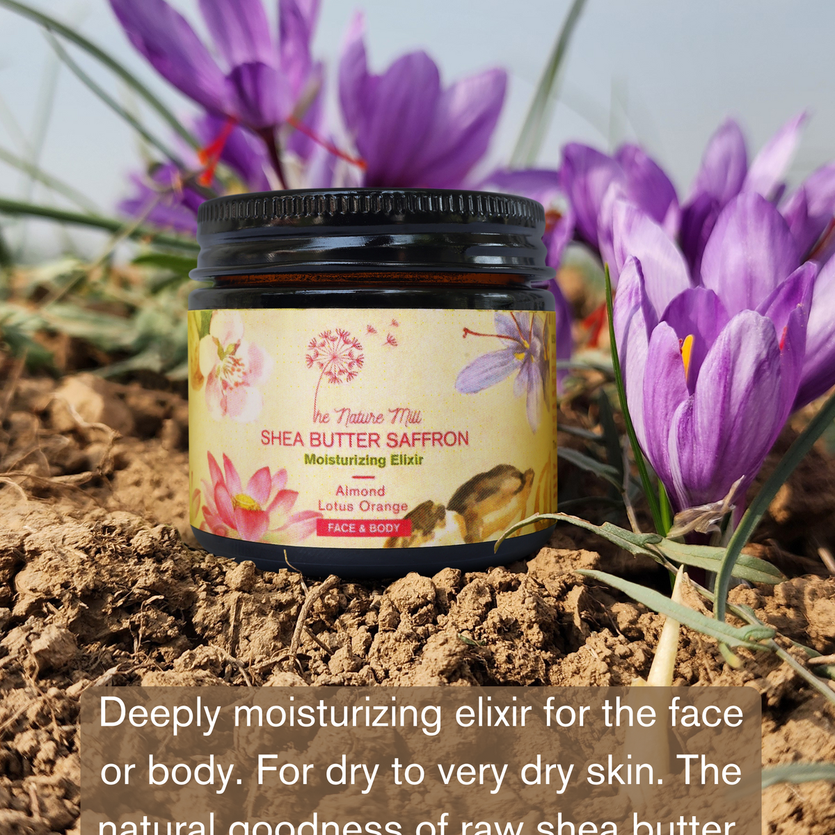 Shea Butter Saffron Moisturizing Elixir | Face or body (dry to very dr ...