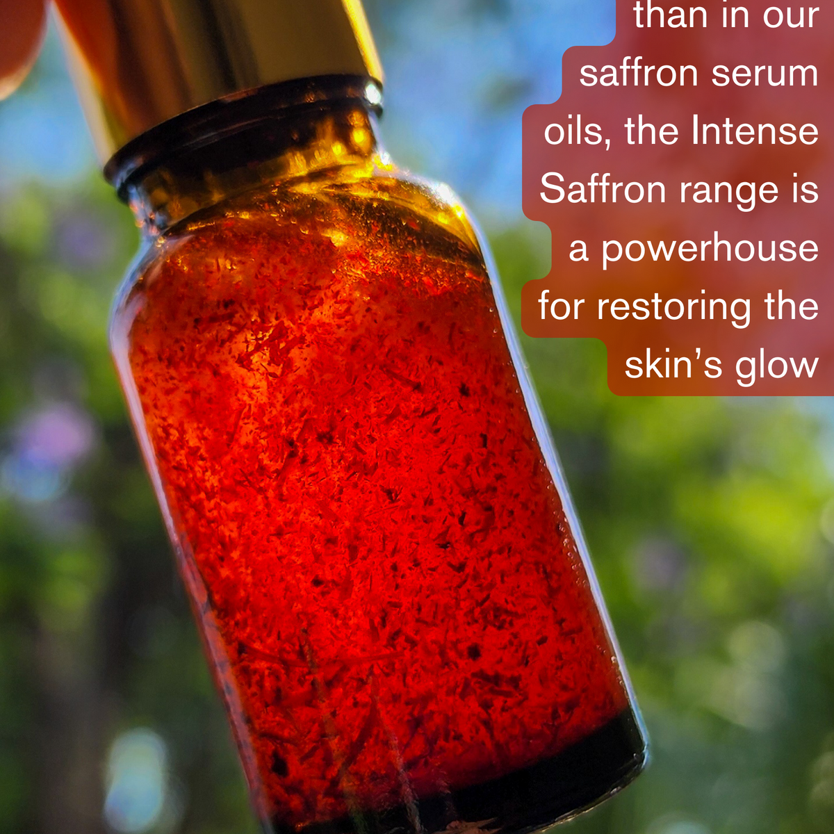 Intense Saffron Serum Oil (night serum for face radiance) | 15ml – The ...