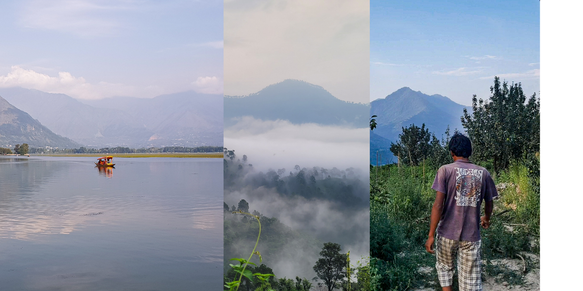 The Nature Mill | All natural beauty & food products